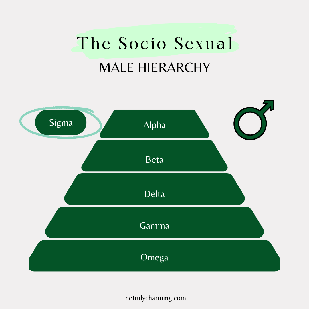 Your Complete Guide To The Sigma Male Archetype Your Complete Guide To The Sigma Male Archetype